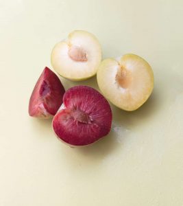 5 Plums that Are Red Inside - Plantglossary