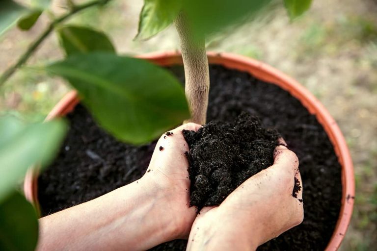 How Much Does a Yard of Compost Weigh? - Plantglossary
