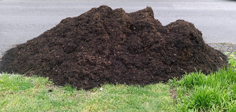 How Much Does a Yard of Compost Weigh? - Plantglossary