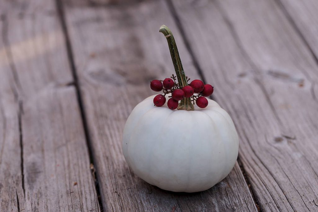 13 Unusual Pumpkin Varieties - Plantglossary