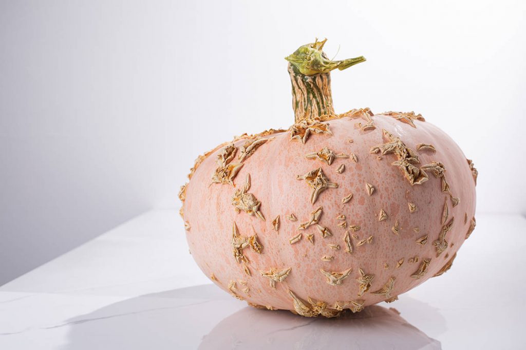 13 Unusual Pumpkin Varieties - Plantglossary