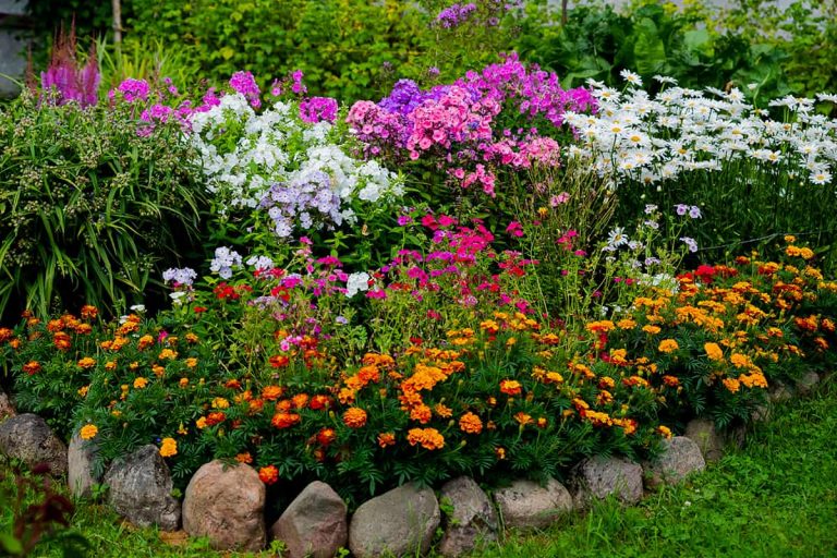 22 Gorgeous Long-living Perennials You Can Grow In Your Garden ...