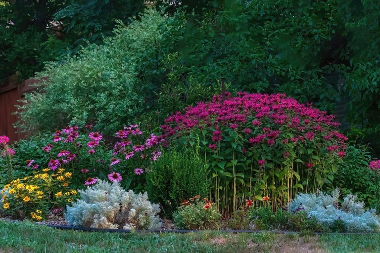 22 Gorgeous Long-living Perennials You Can Grow In Your Garden ...