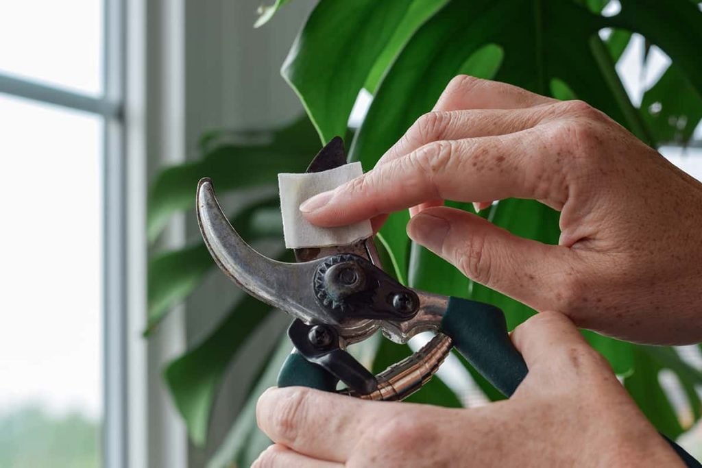 18 Garden Tool Maintenance Tips That Every Gardeners Should Know ...