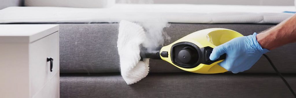 How to Get Rid of Stink Bugs - Plantglossary