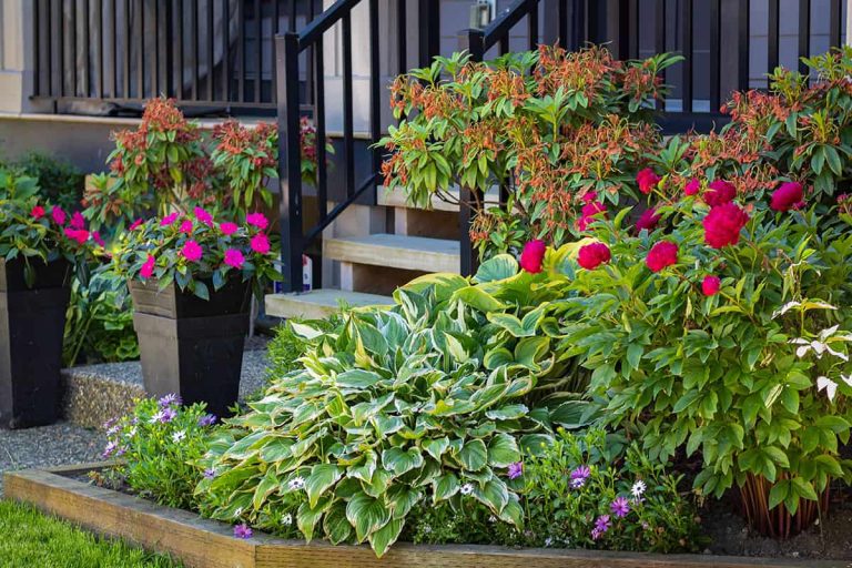 25 Inspiring Outdoor Planter Ideas – Transform Your Garden with These ...
