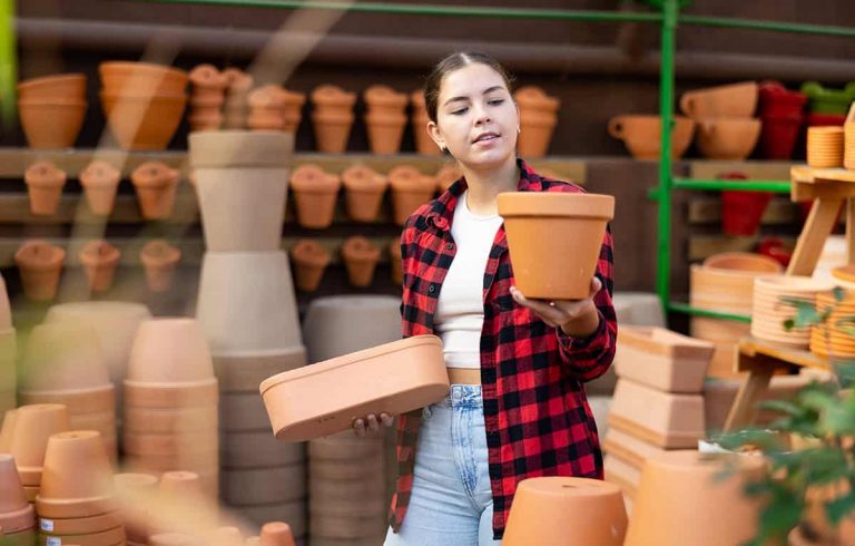 How to Grow Lantana in Pots - Plantglossary