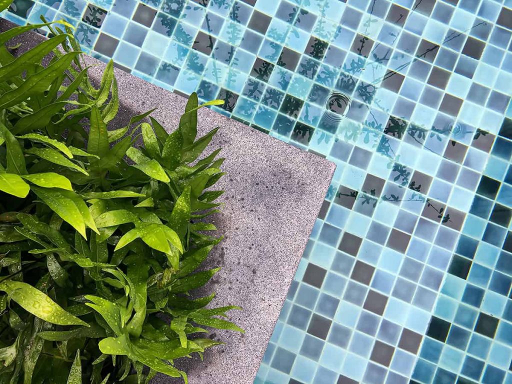20 Best Plants Around the Pool - Plantglossary