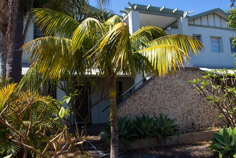 30 Fantastic Low-Light Indoor Plants - Plantglossary