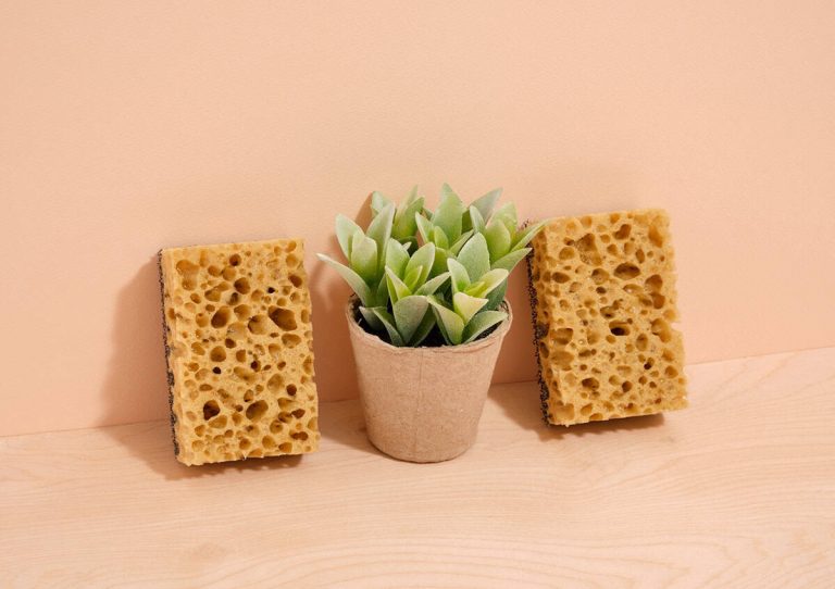 30 Simply Amazing Plant Hacks to Upgrade Your Green Thumb - Plantglossary