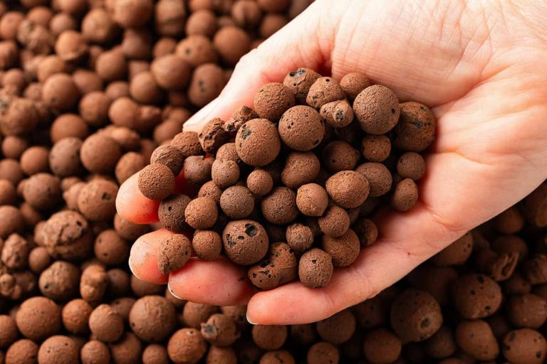 How to Fill Large Planter Pots [8 Effective Ways] - Plantglossary