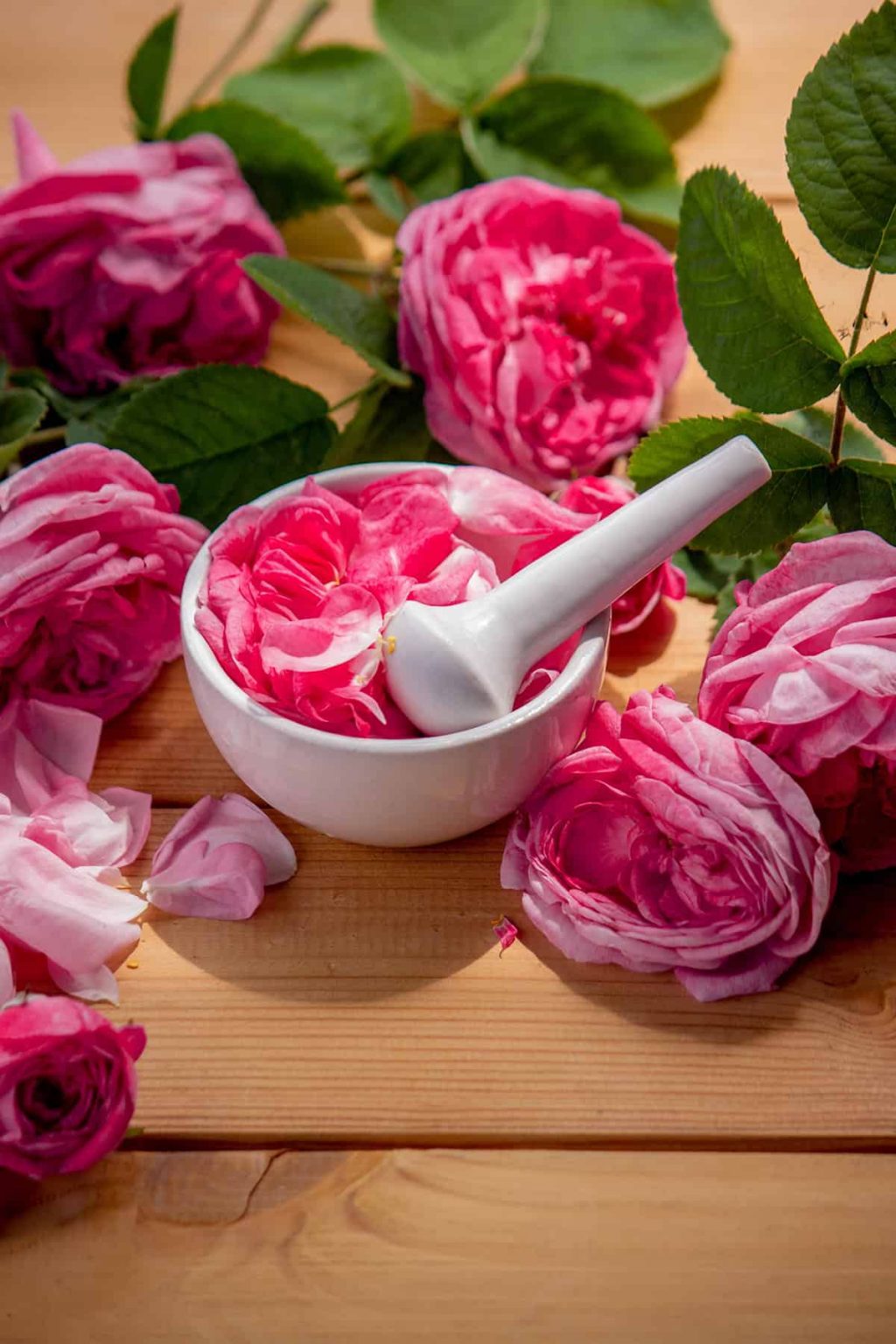 14 Amazing Rose Petal Uses - Plantglossary