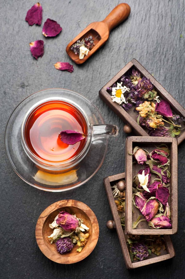 14 Amazing Rose Petal Uses - Plantglossary