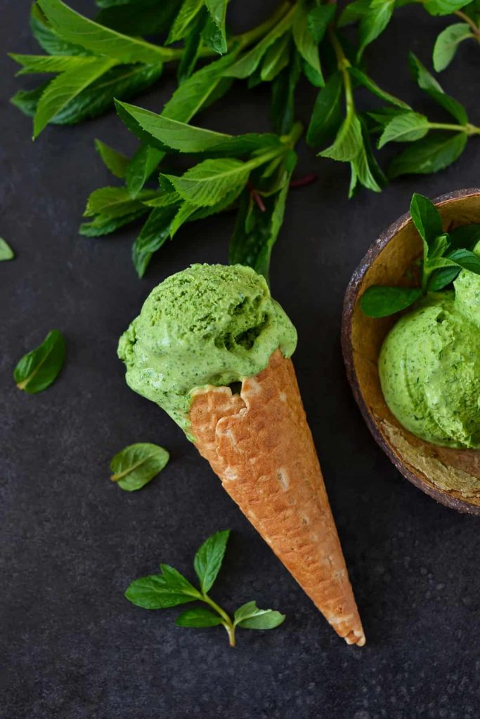 How to Grow Mint and 16 Ways to Use Mint - Plantglossary
