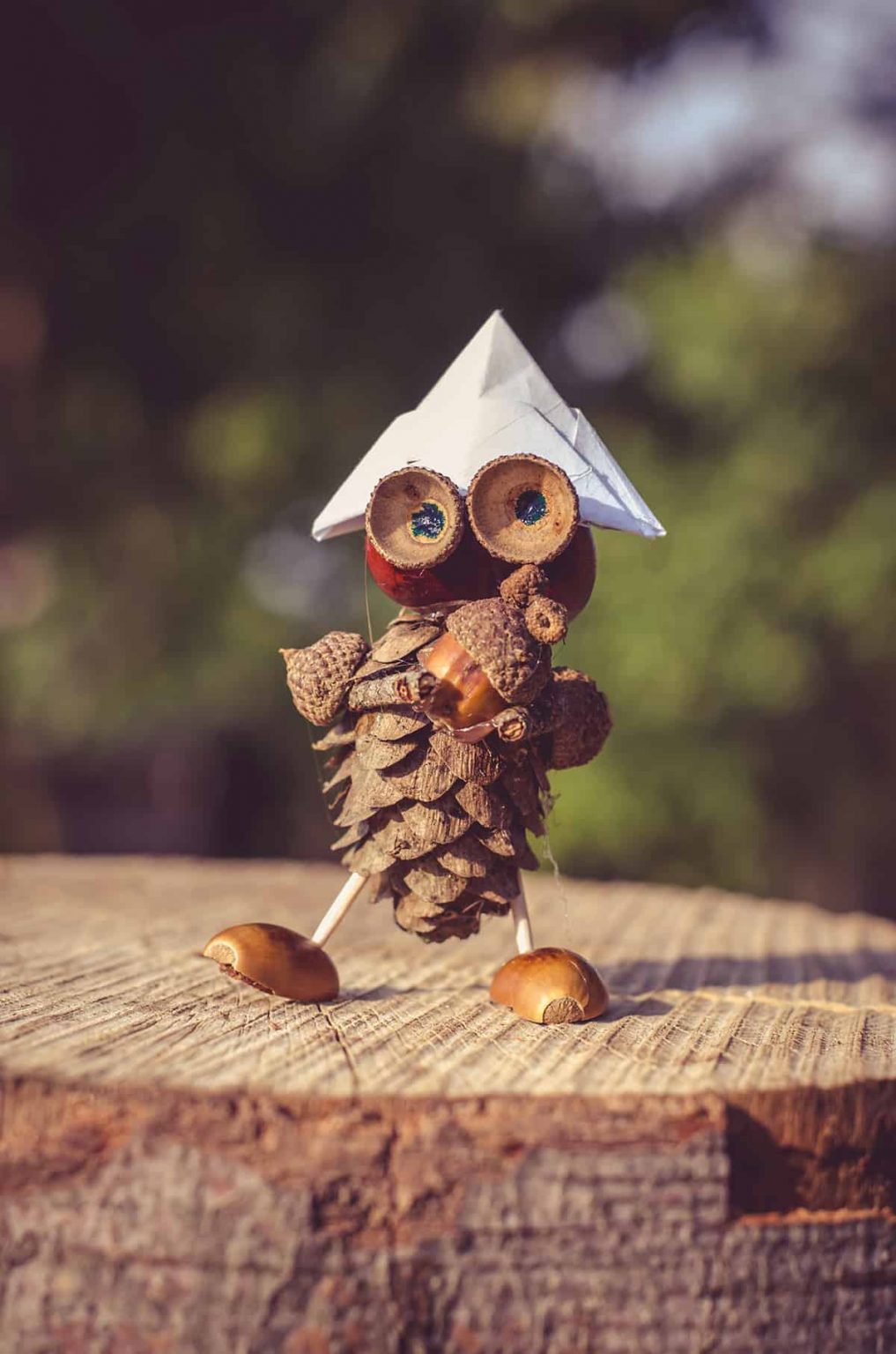 14 Unique Ways to Use Pine Cone - Plantglossary