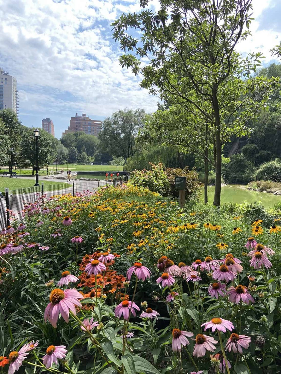 15 Effective Ways to Create a Butterfly Garden - Plantglossary