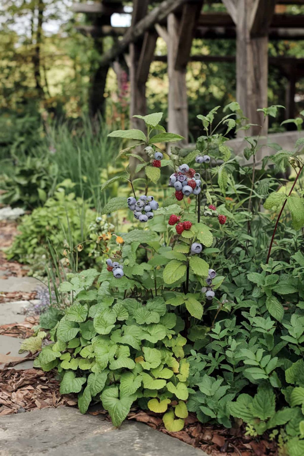 20 Stunning Woodland Garden Ideas - Plantglossary
