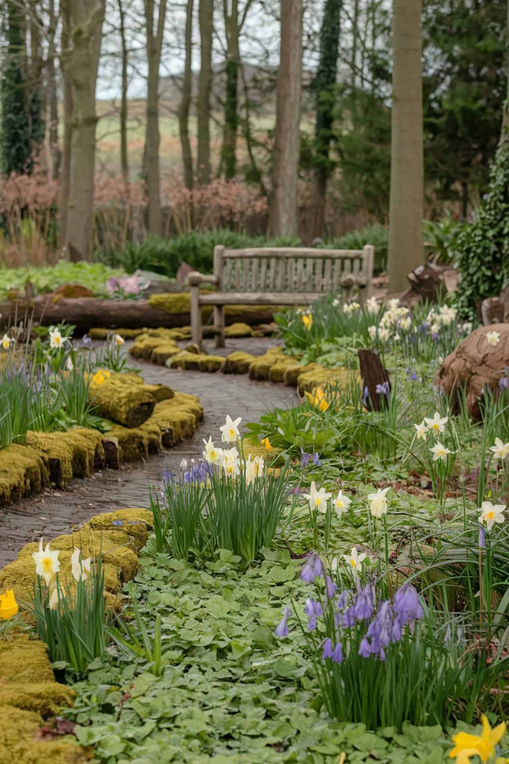 20 Stunning Woodland Garden Ideas - Plantglossary