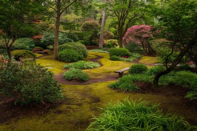 20 Stunning Woodland Garden Ideas - Plantglossary