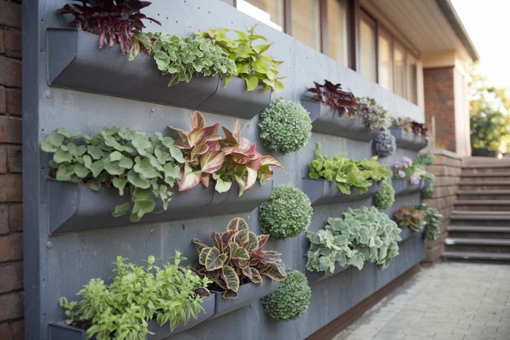 25 Eye-Catching Garden Wall Ideas for Every Style - Plantglossary