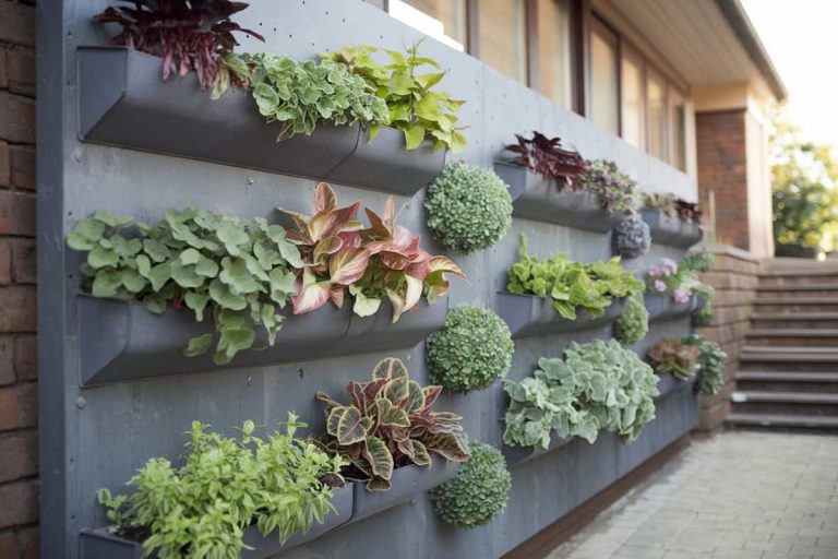25 Eye-Catching Garden Wall Ideas for Every Style - Plantglossary