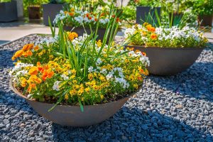 30 Brilliant Rock Landscaping Ideas - Plantglossary