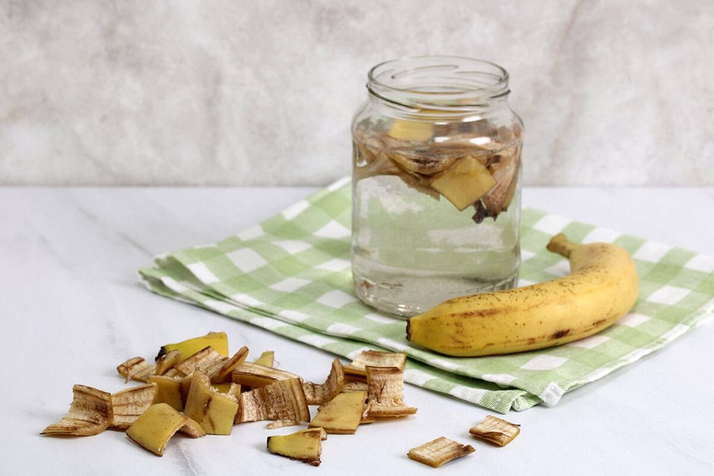 10 Homemade Fertilizers for Houseplants to Boost Their Growth - Plantglossary