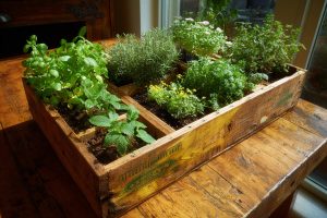 30 Amazing Indoor Herb Garden Ideas - Plantglossary