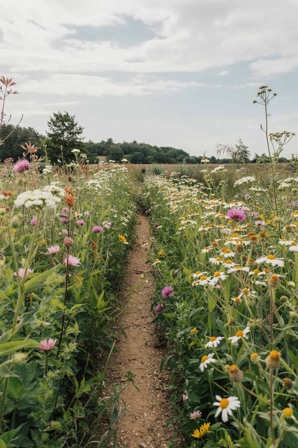 30 Whimsical Pathway Ideas - Plantglossary