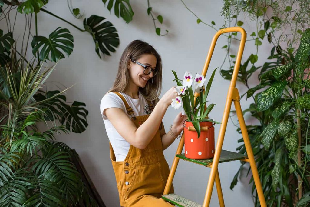 How to Fill Homes with Plants Without Breaking the Bank - Plantglossary