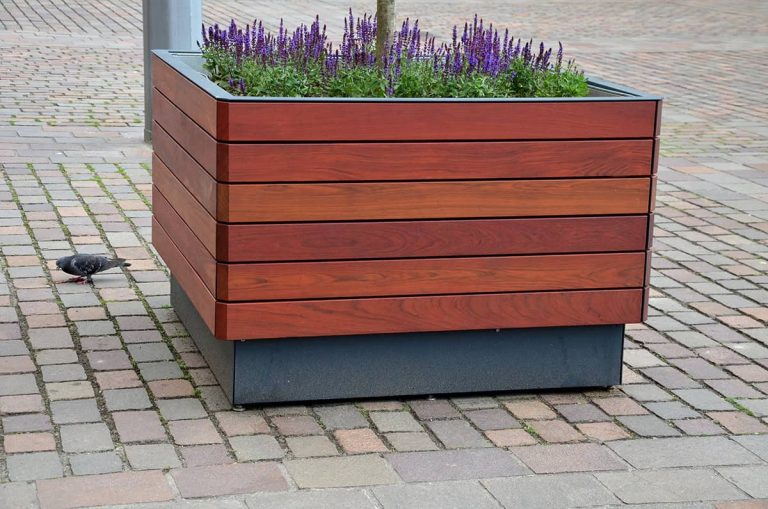 20 Outdoor Plants For Full Sun Pots That Beat The Heat - Plantglossary