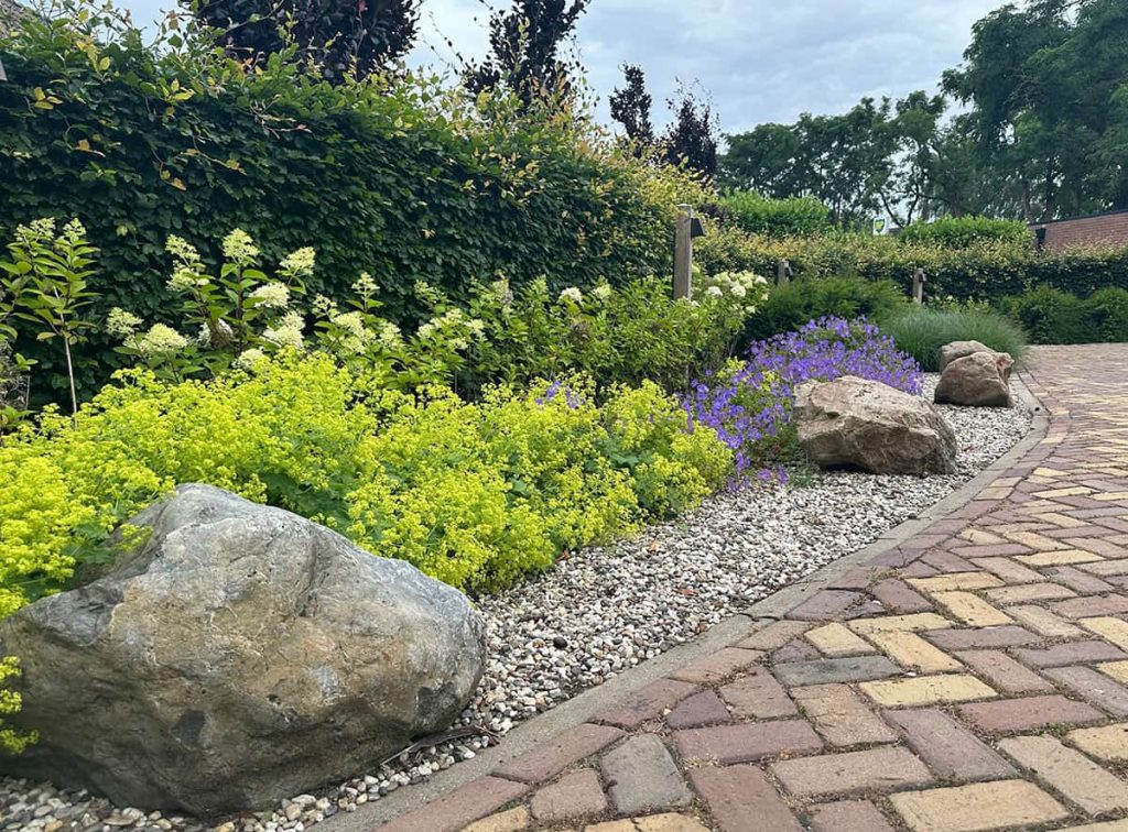 How to Permanently Kill Weeds and Grass in Rock Beds - Plantglossary