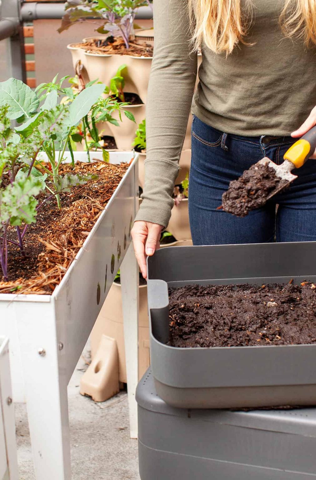 Peat Moss – How to Use It In the Garden - Plantglossary