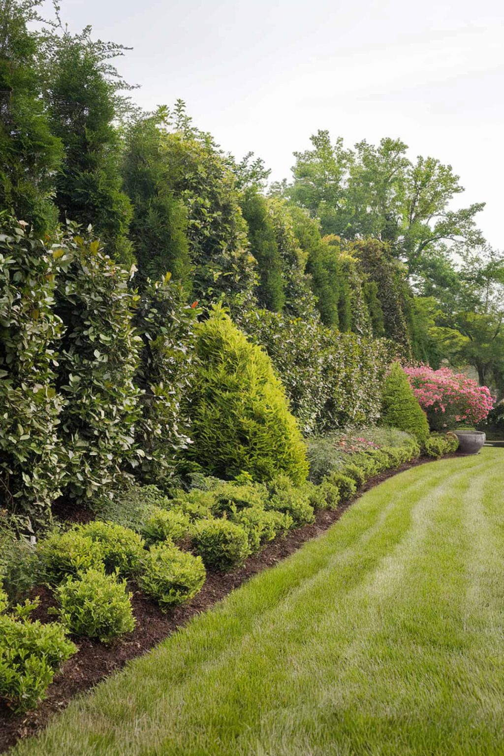 32 Clever & Easy Ways To Block Neighbors View Of Your Yard - Plantglossary