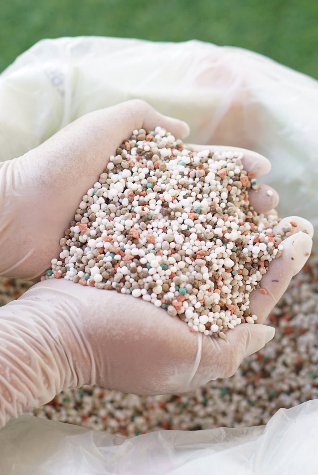 Organic vs Chemical Fertilizers - Plantglossary